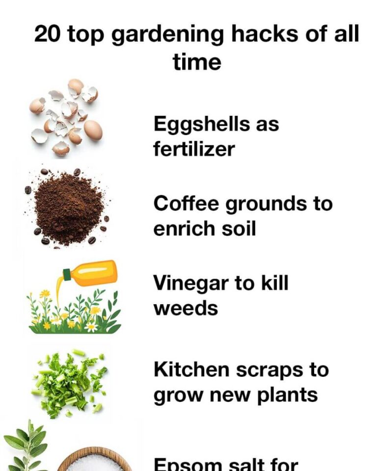 20 top gardening hacks of all time