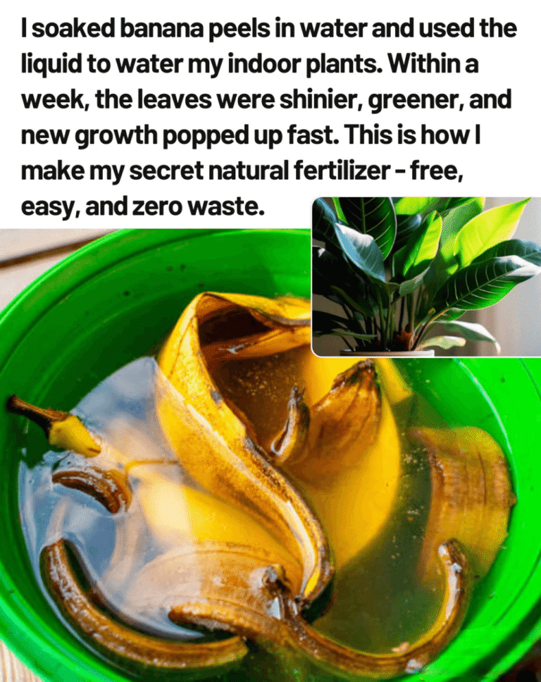 12 Ways to Use Banana Peels in Your Garden
