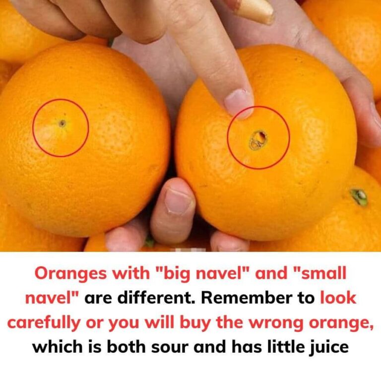 Oranges with Big Navels vs. Small Navels: What You Need to Know Before Buying